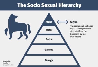 The Socio Sexual Hierarchy Explained: Where Do You Rank?
